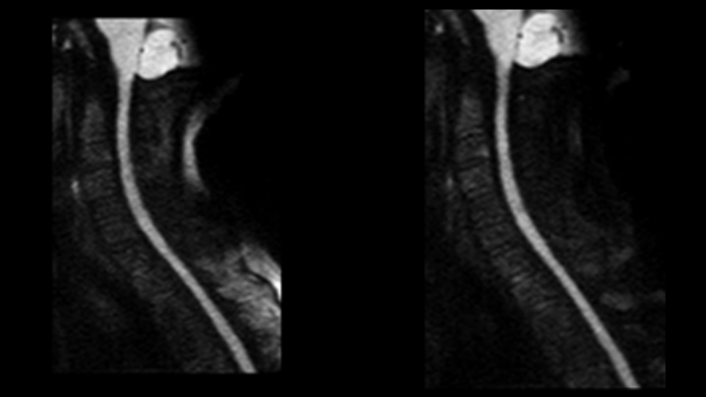 BioMatrix Technology